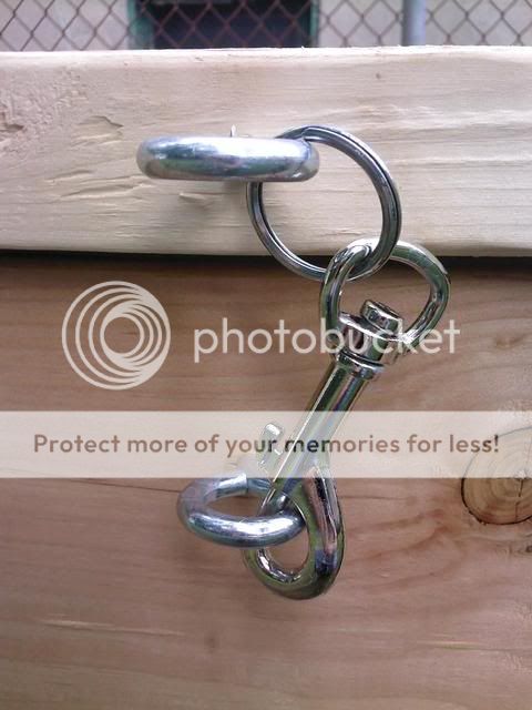 Predator proof locks. What has worked for you? - Habitats and Equipment ...